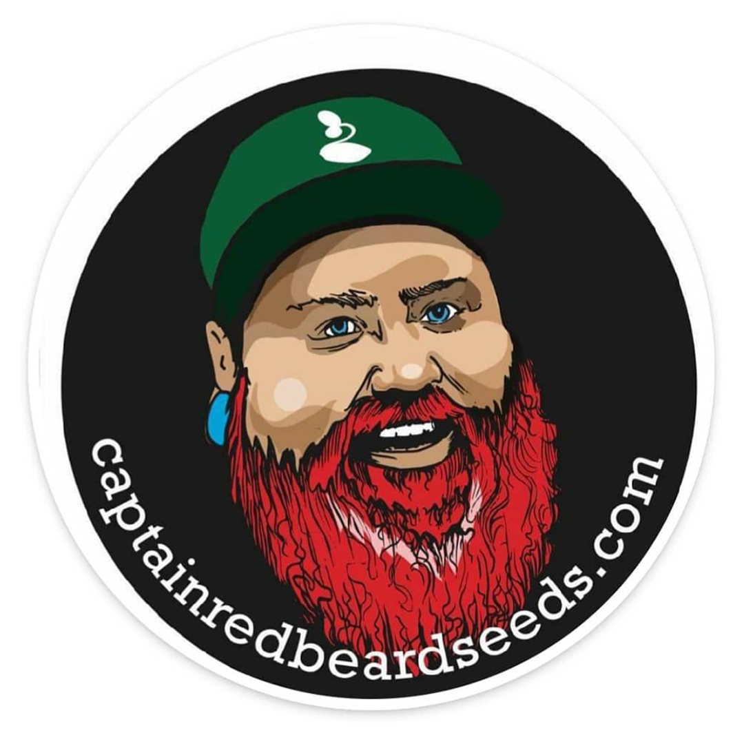 Official Annual Oregon HEMPFEST Festival – Oregon's Largest Cannabis ...